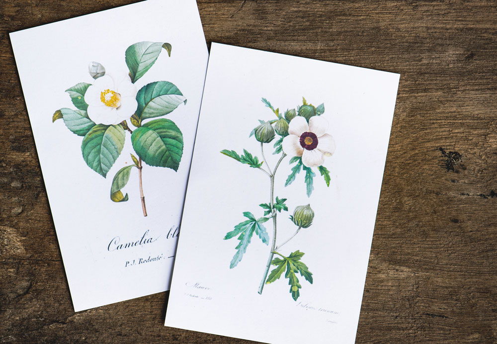Types Of Paper For Printing Invitations What Should I Choose Printwise